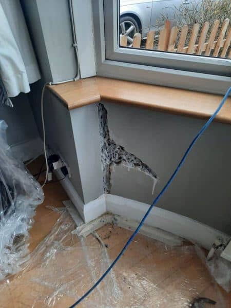Cracking Around a Bay Window, London | ASRS